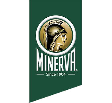 Minerva купити в інтернет-магазині Litaly